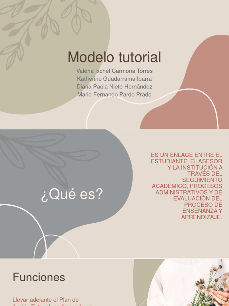 Modelo Tutorial | PDF