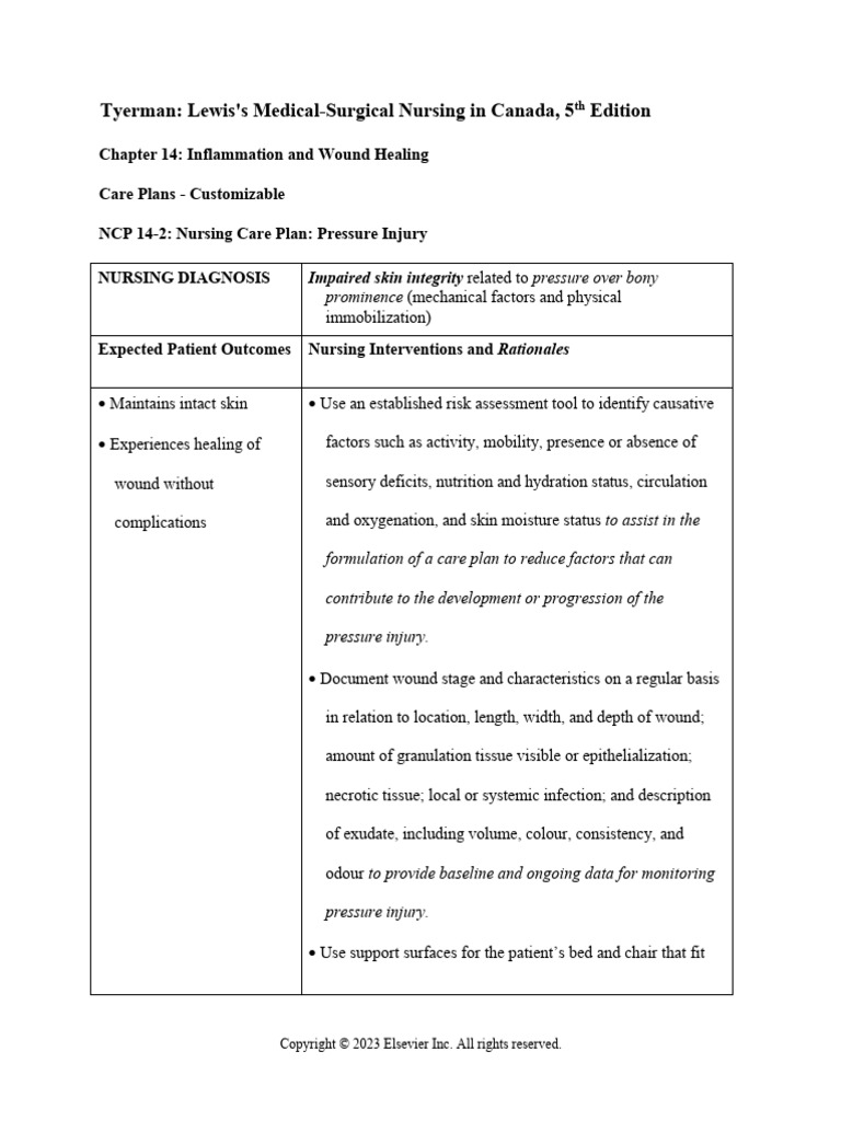 Pressure Injury - Nursing Care Plan | PDF | Nursing | Caregiver
