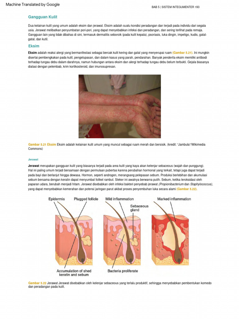 (201 400) AnatomyAndPhysiology LR | PDF