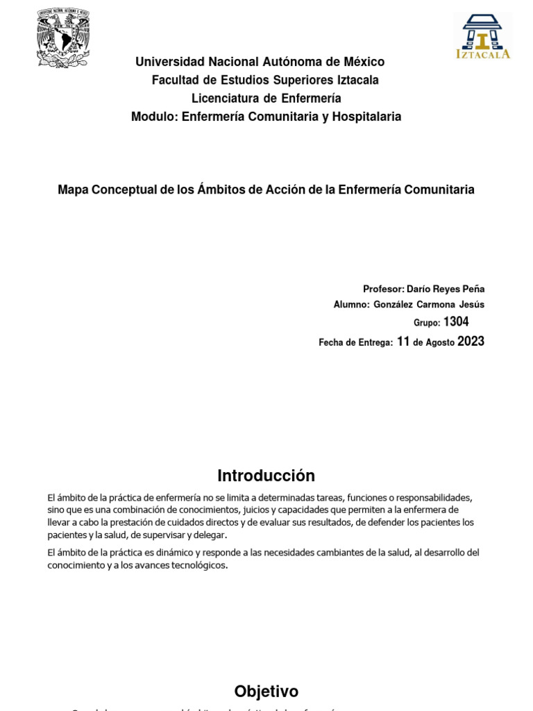 Mapa Conceptual de Los Ámbitos de Acción de La Enfermería Comunitaria | PDF | Enfermería ...