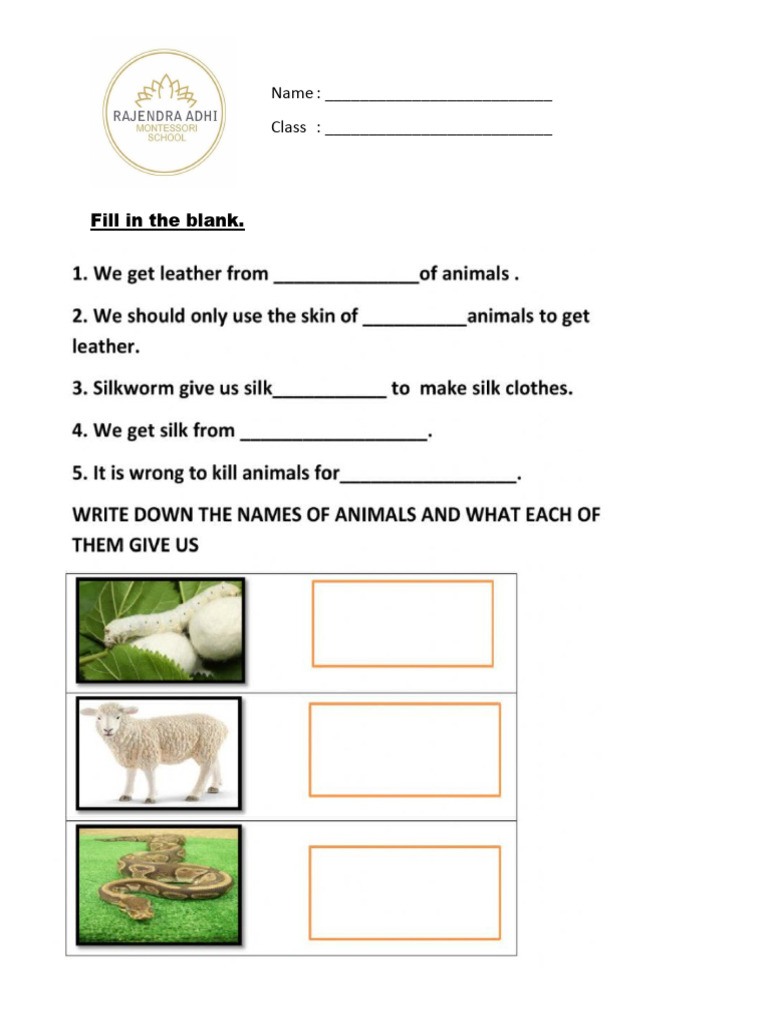 G2 Science Useful Animals | PDF