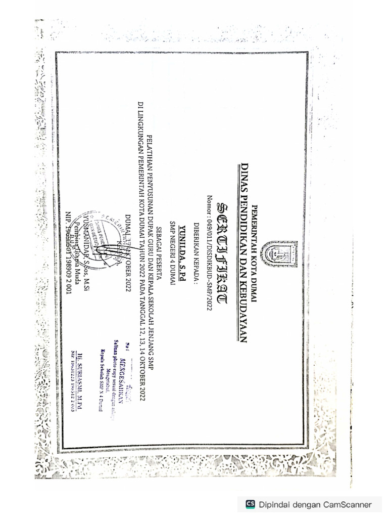 Penyusunan Dupak | PDF