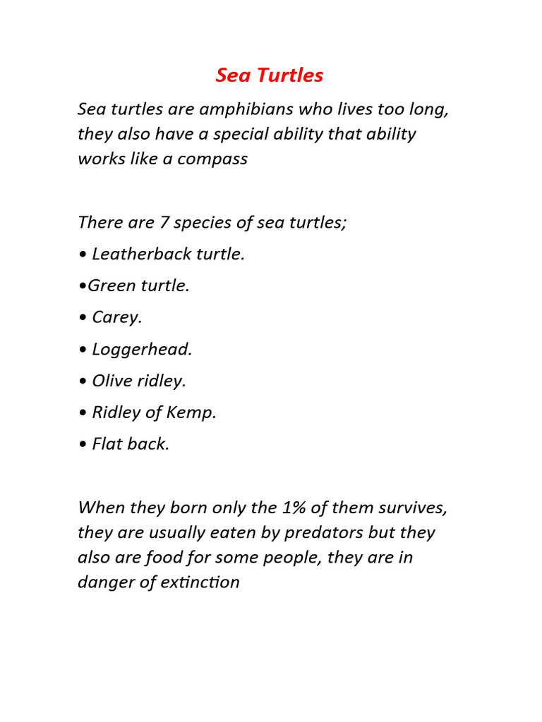 Sea Turtles | PDF