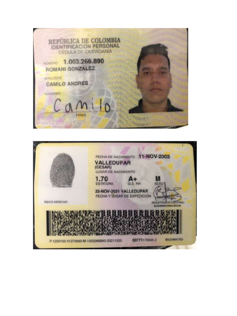 Cédula de Camilo Romani | PDF