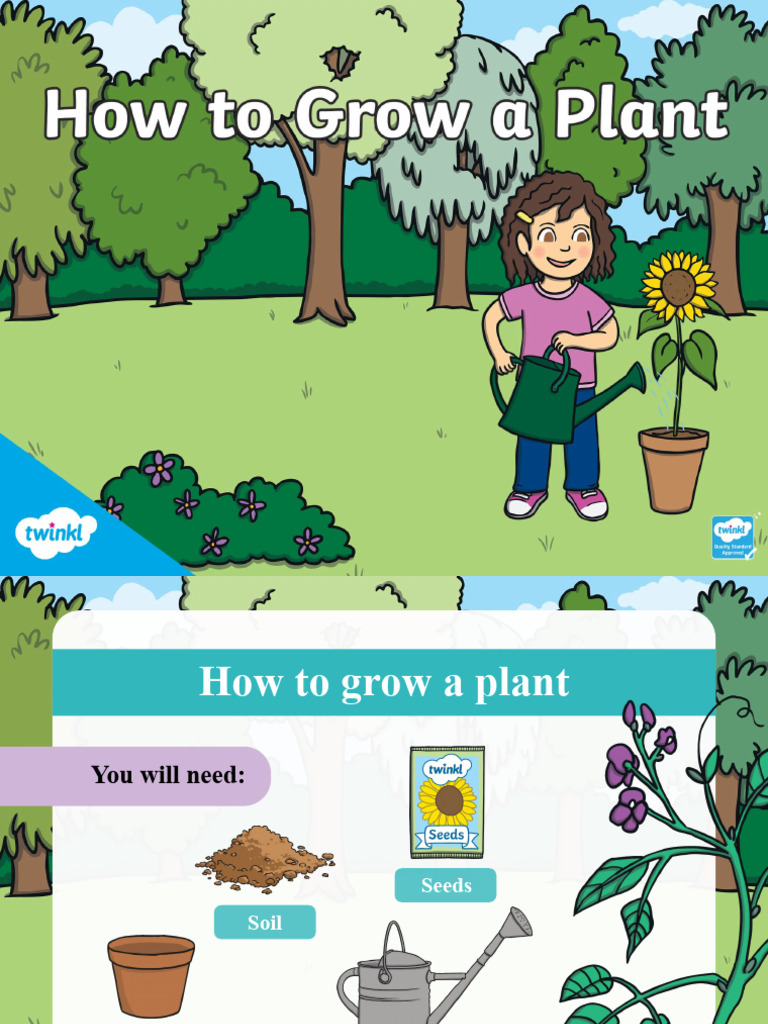 How to Grow a Plant: Step-by-Step Guide | PDF