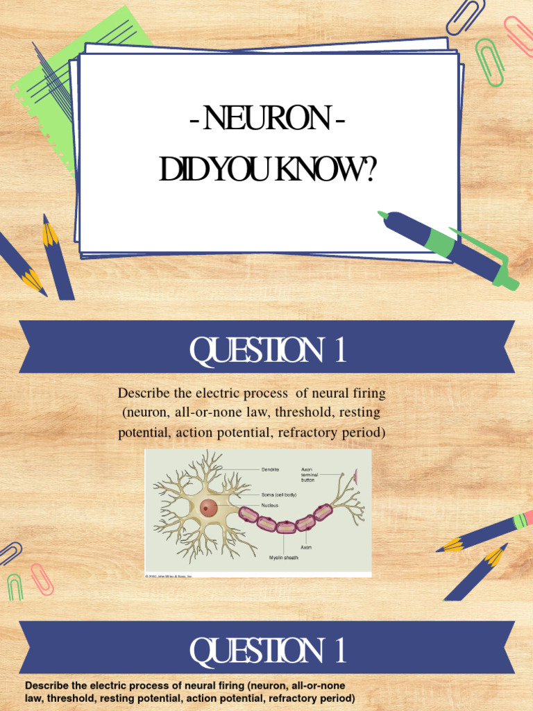 Neuron - Individual Task | PDF