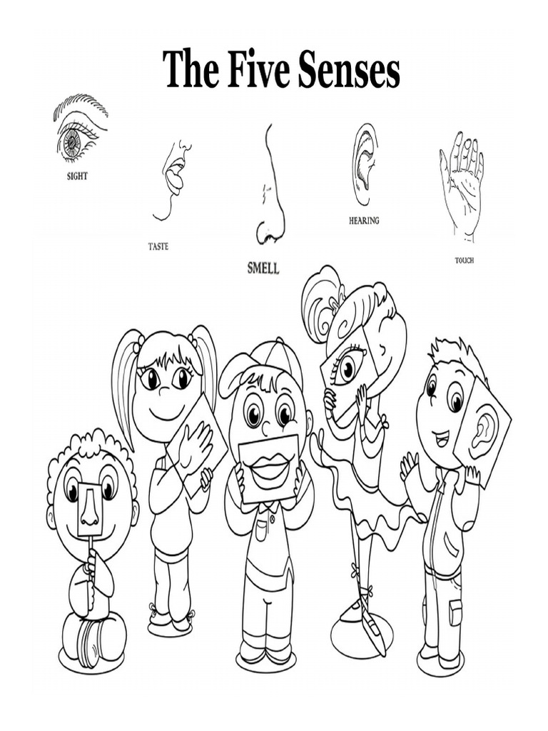 5 Senses Act2 | PDF