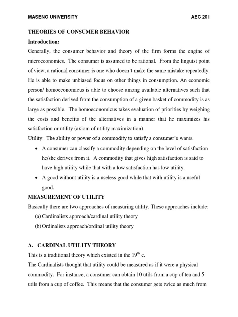 Theories of Consumer Behaviour | PDF