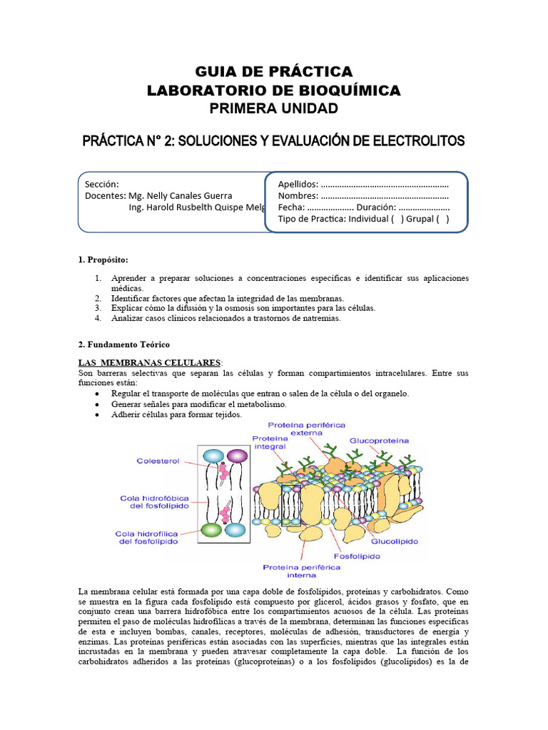 Guia de Práctica 2 - Soluciones y Evaluación de Electrolitos | PDF | Membrana celular | Biología ...