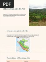 Características de la Sabana Húmeda con Palmeras | PDF | Deforestación ...