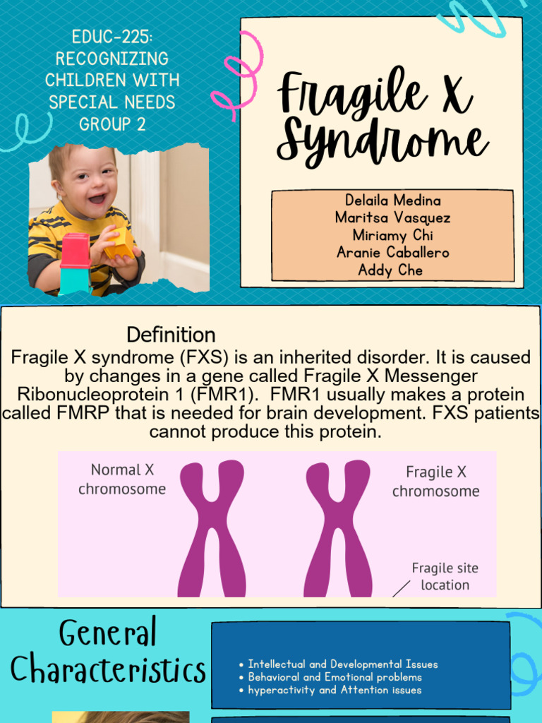 Fragile X-Syndrome | PDF