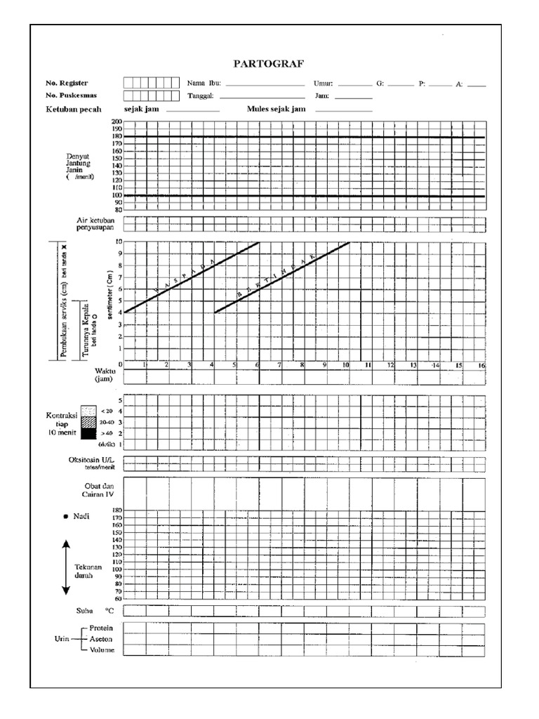 Partograf Kosong | PDF