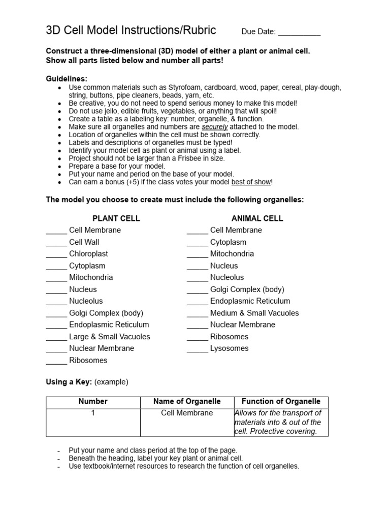 Cell Model Directions | PDF