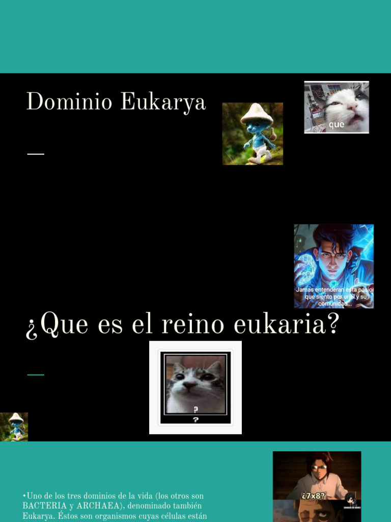 Dominio Eukarya | PDF | Hogar y jardín