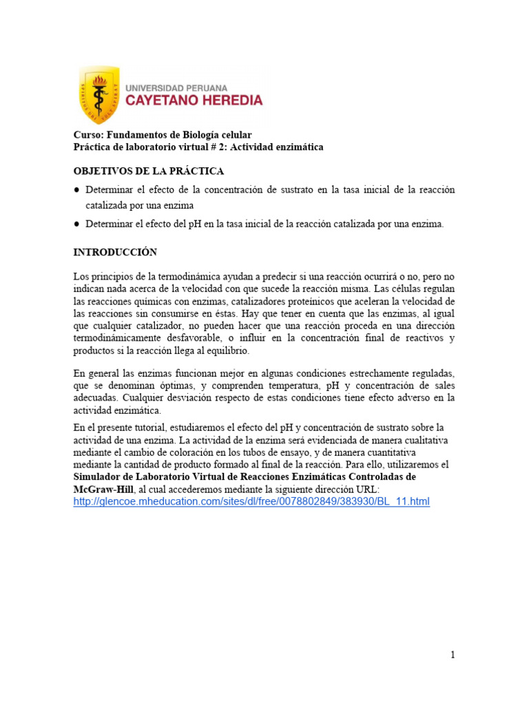 Práctica Virtual #2 Actividad Enzimática 2020 II Guía | PDF