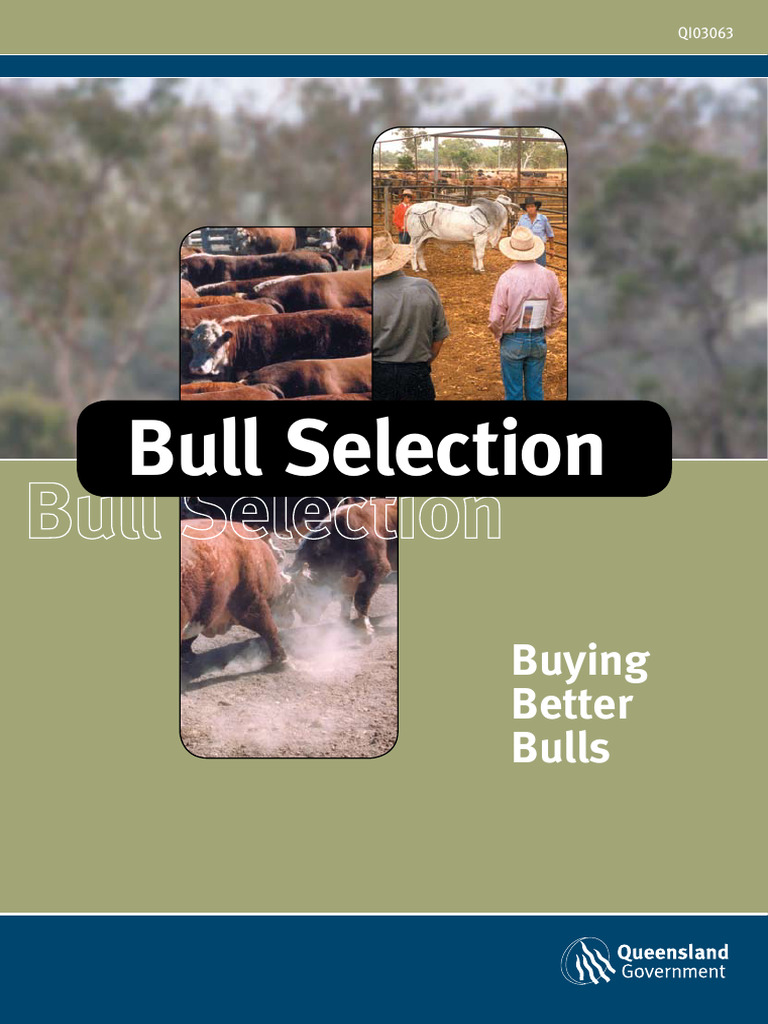 Bull Selection - Buying Better Bulls | PDF
