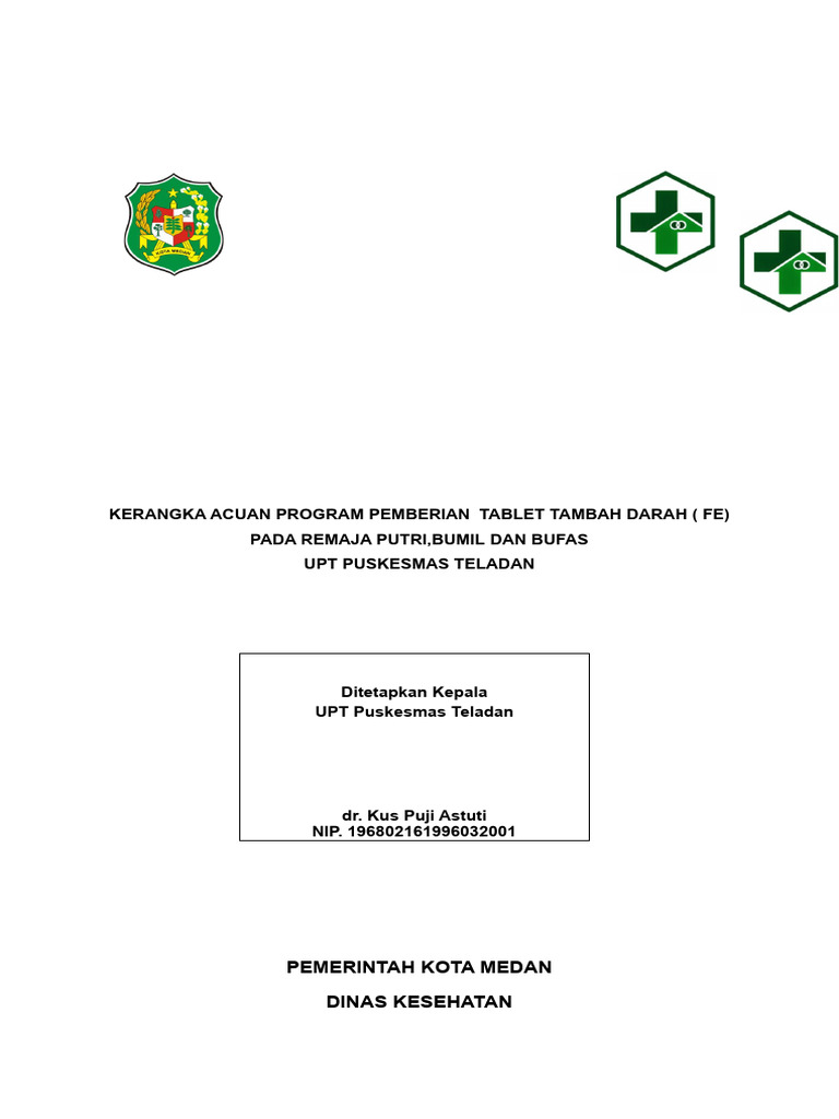 KAK Pemberian Tablet Fe | PDF