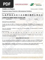 E5CINCO Formato Opcion 1 | PDF