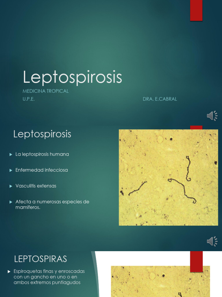 LEPTOSPIRA | PDF