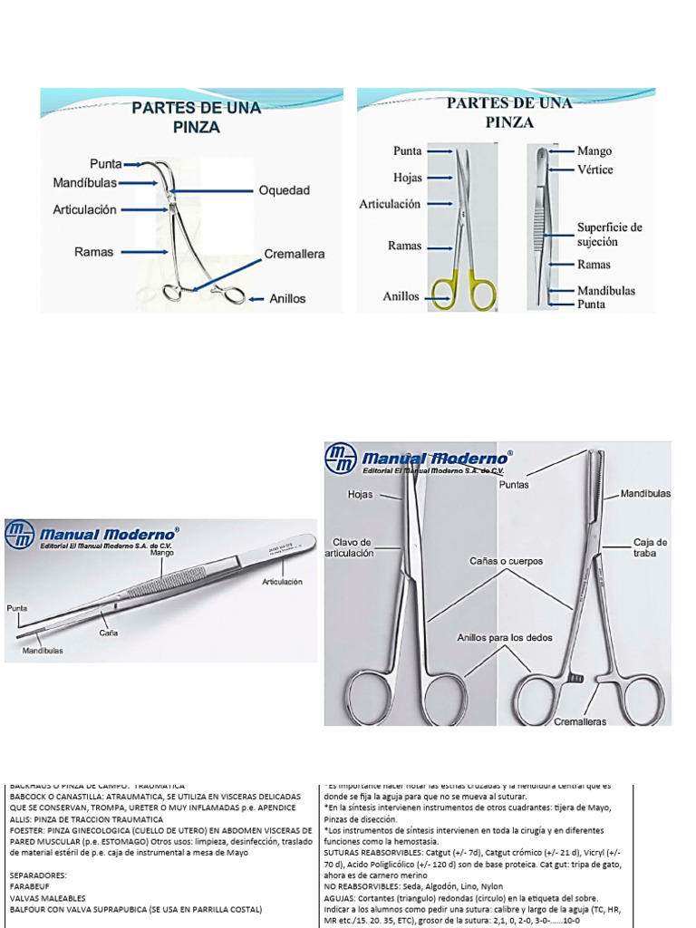 Partes de Una Pinza | PDF