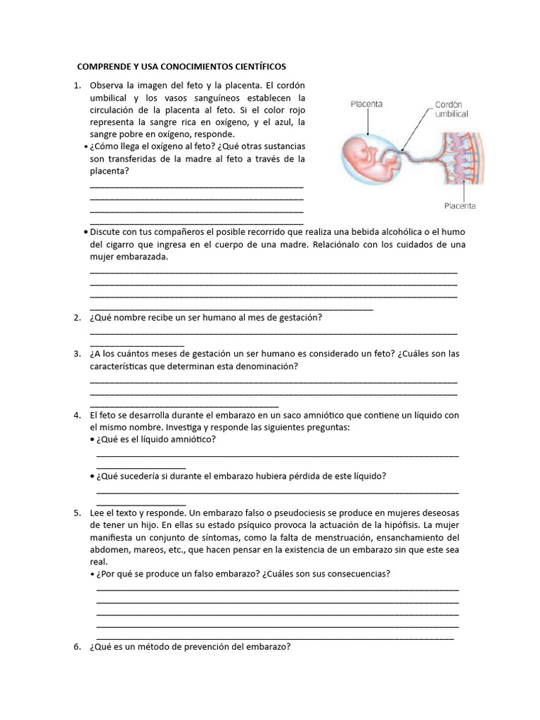 Ficha Eda 6 Actividad 3 4to Sec. | PDF