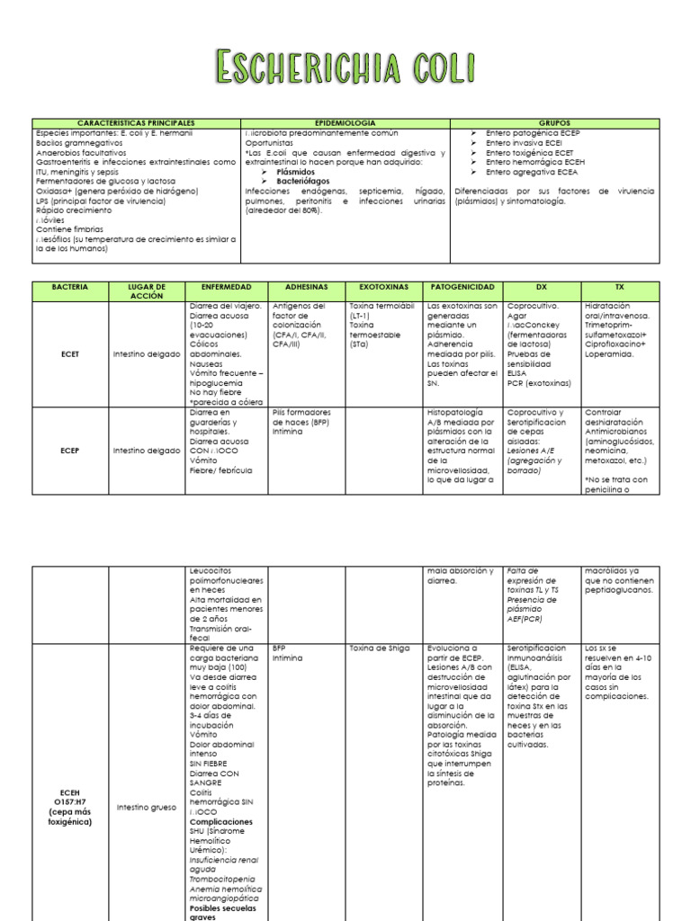 Tabla E. Coli | PDF | Escherichia coli | Inmunología
