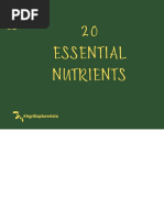 Cow Taxonomic Classification | PDF