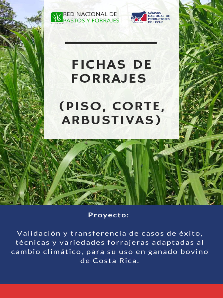 Tipos de Forrajes para Ganado en Costa Rica | PDF | Tecnología