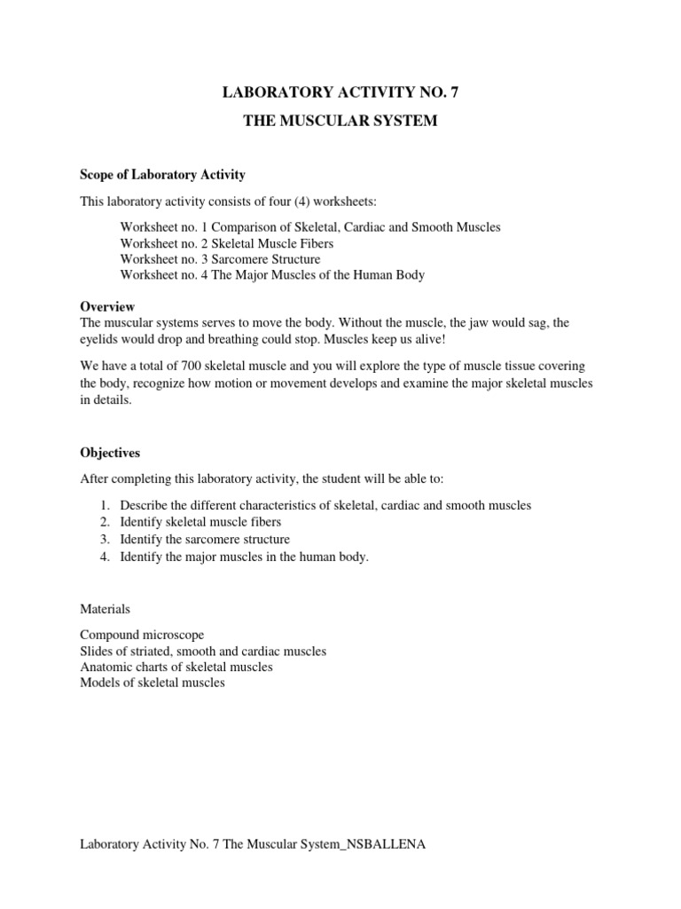 LAB 3 The Muscular System | PDF