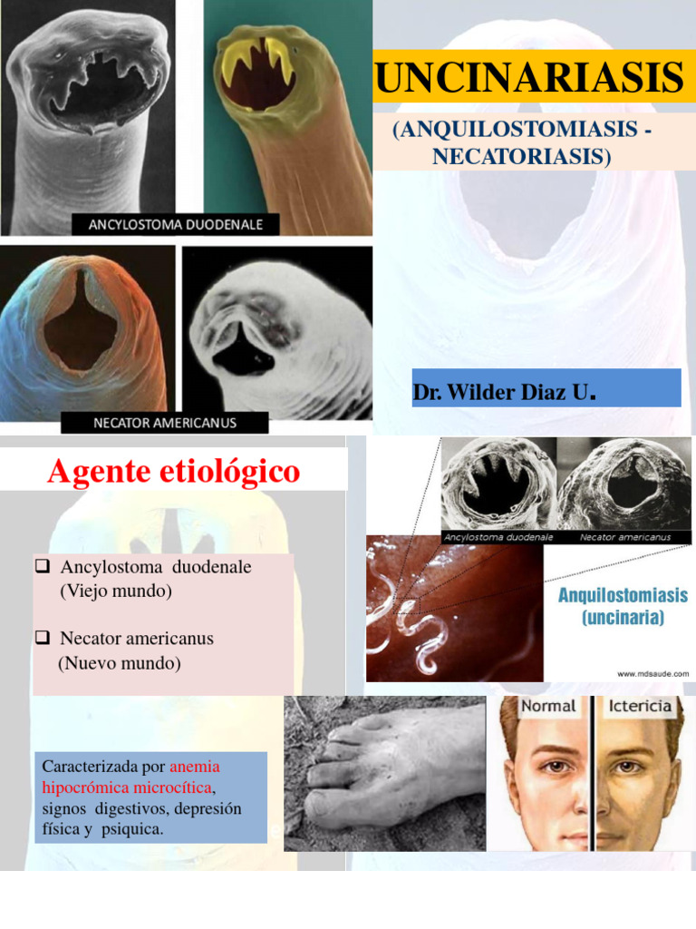 1UNCINARIASIS 2023 (Autoguardado) | PDF