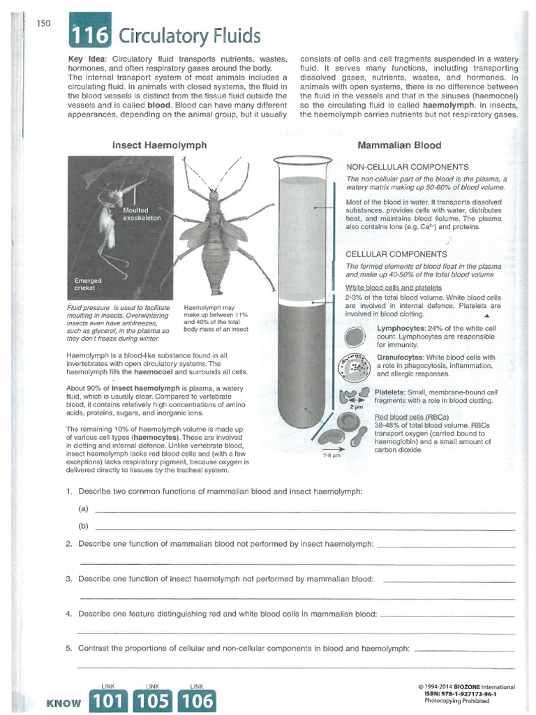 116 To 118 Biozone | PDF
