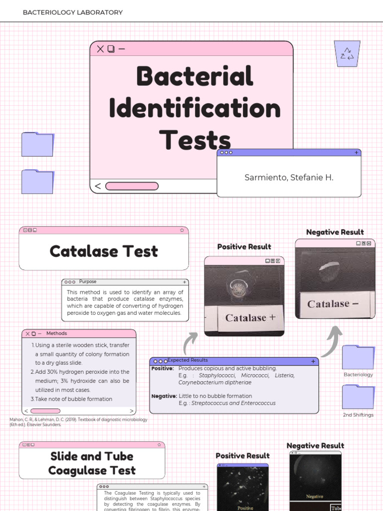 Bacterial Identification Tests | PDF