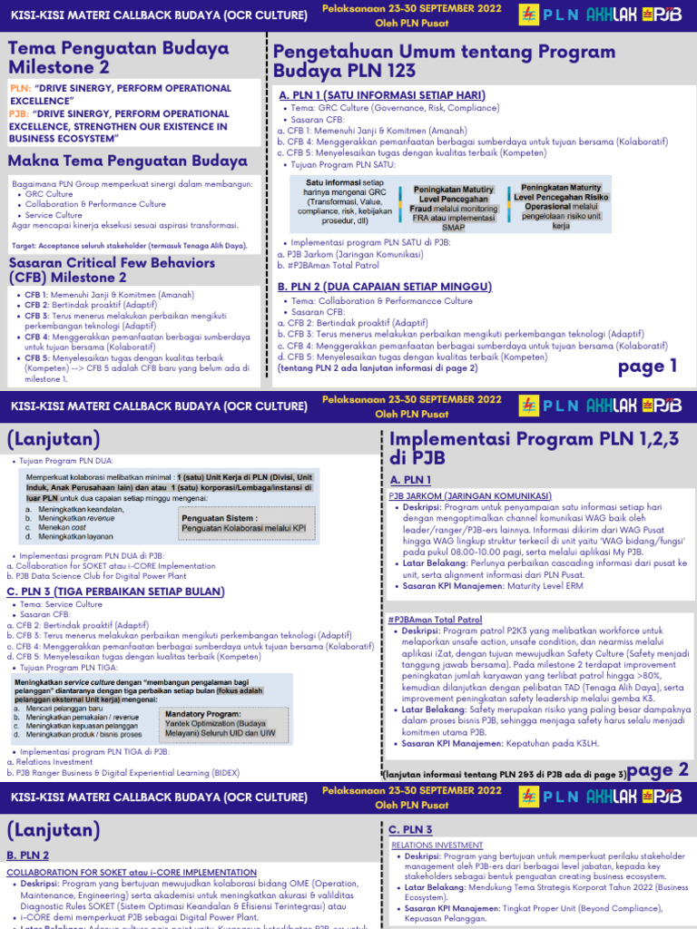 Penguatan Budaya PLN: Sinergi dan Kinerja | PDF | Bisnis