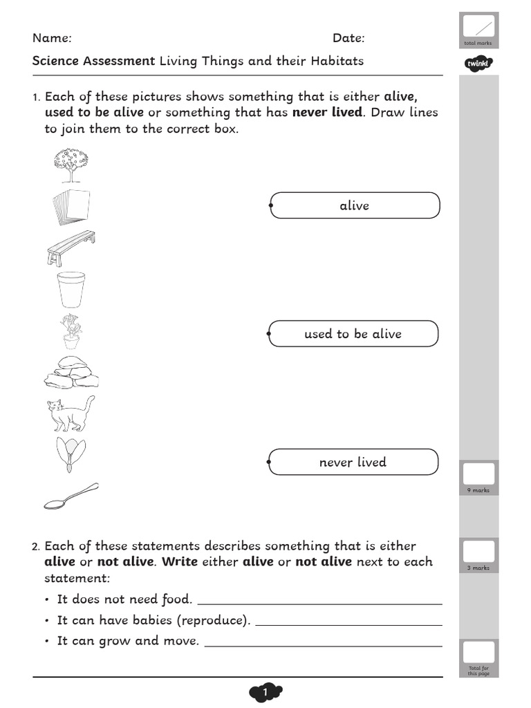 Year 2 Science Assessment: Habitats | PDF | Habitat | Flowers