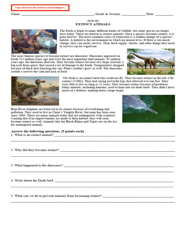 Extinct Animals Activity Worksheet | PDF | Extinction | Endangered Species