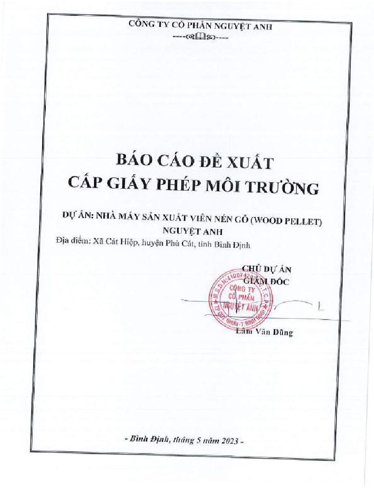 Bao Cao Cap GPMT Nguyet Anh Dang Tai | PDF