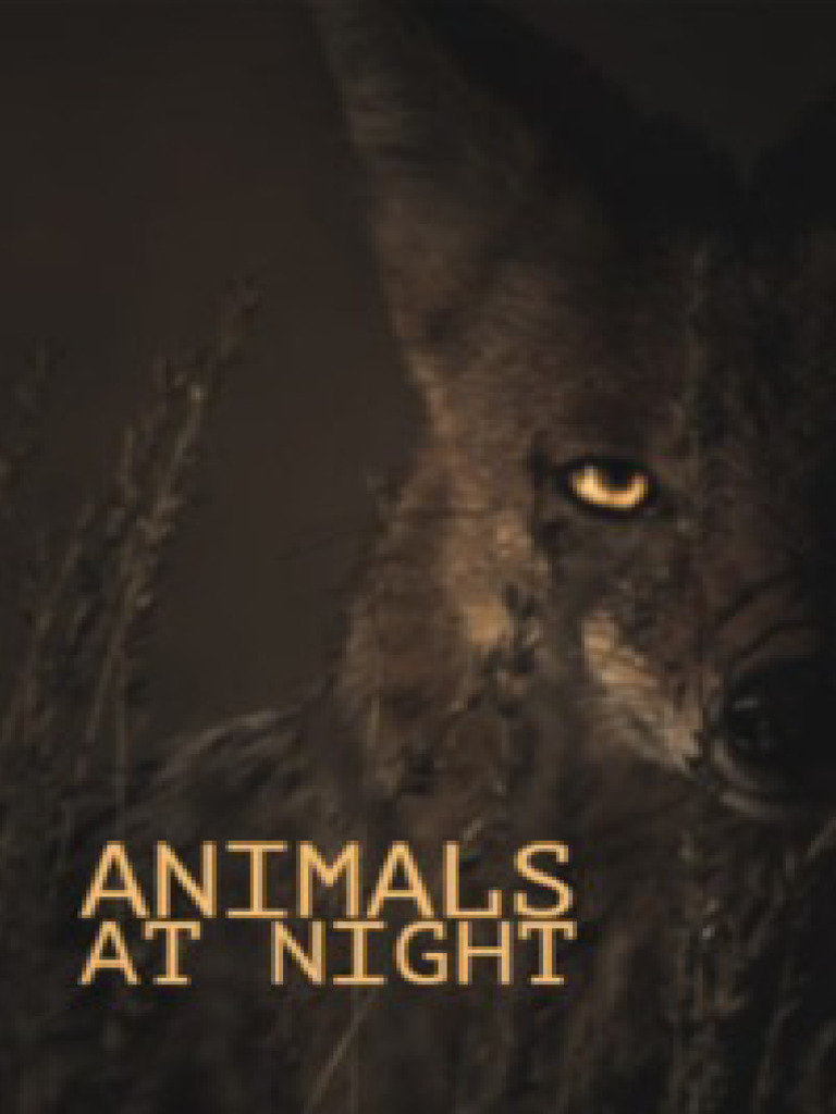Nocturnal Animal Behavior Explained | PDF