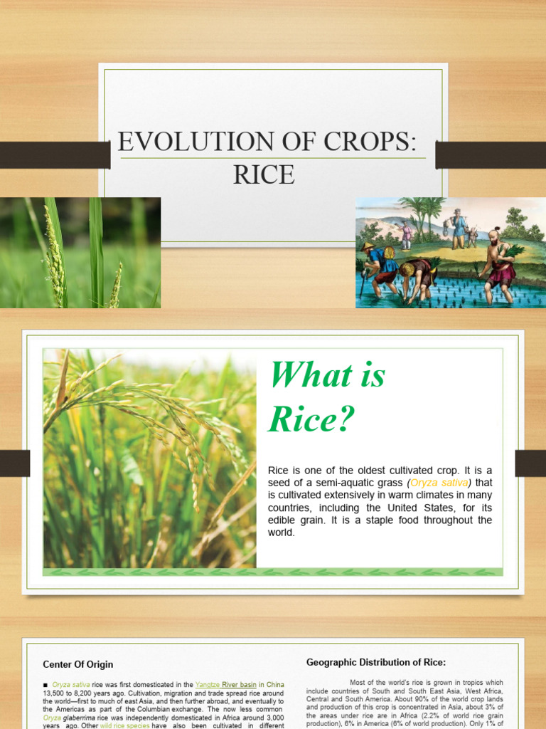 Tagupa Evolution of Crops CropScie 3 | PDF | Home & Garden | Science ...