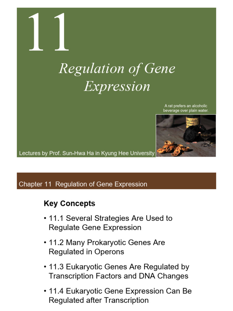 20-2 - Biology - Lecture 10 - Ch11-Regulation of Gene Expression | Download Free PDF | Operon ...