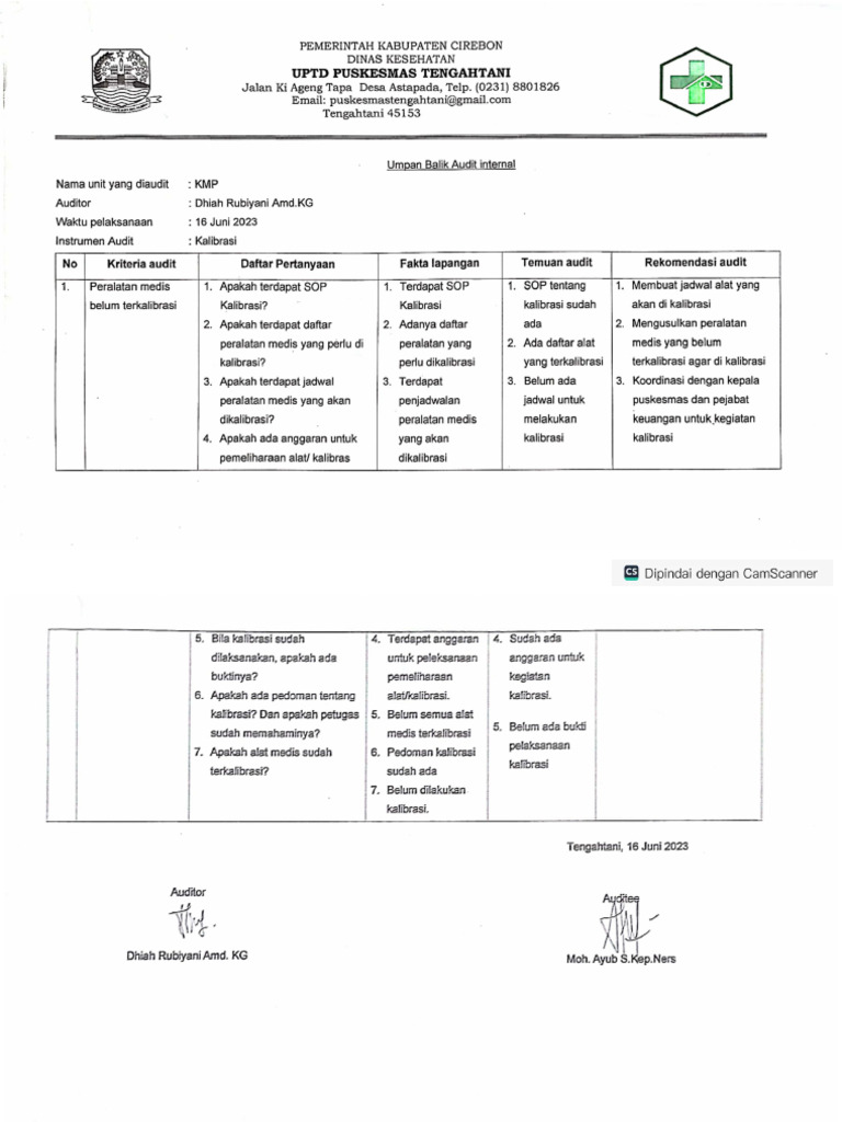 Umpan Balik Audit Internal | PDF