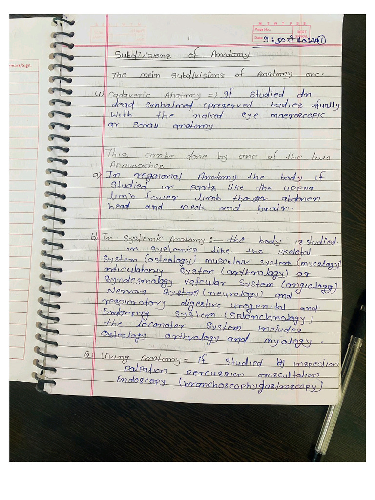 Human Anatomy Notes. | PDF