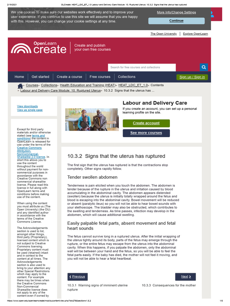 OLCreate - HEAT - LDC - ET - 1.0 Labour and Delivery Care Module - 10. Ruptured Uterus - 10.3.2 ...