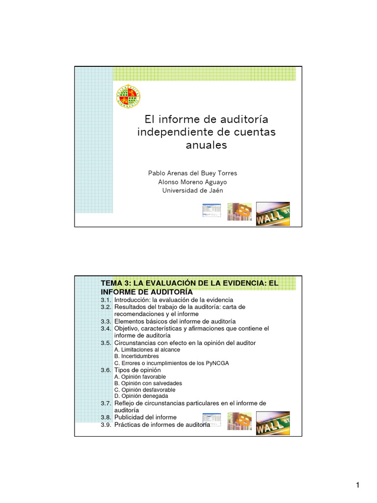 Tema - 3 Informe Auditoria PDF | PDF | Contralor | Auditoría