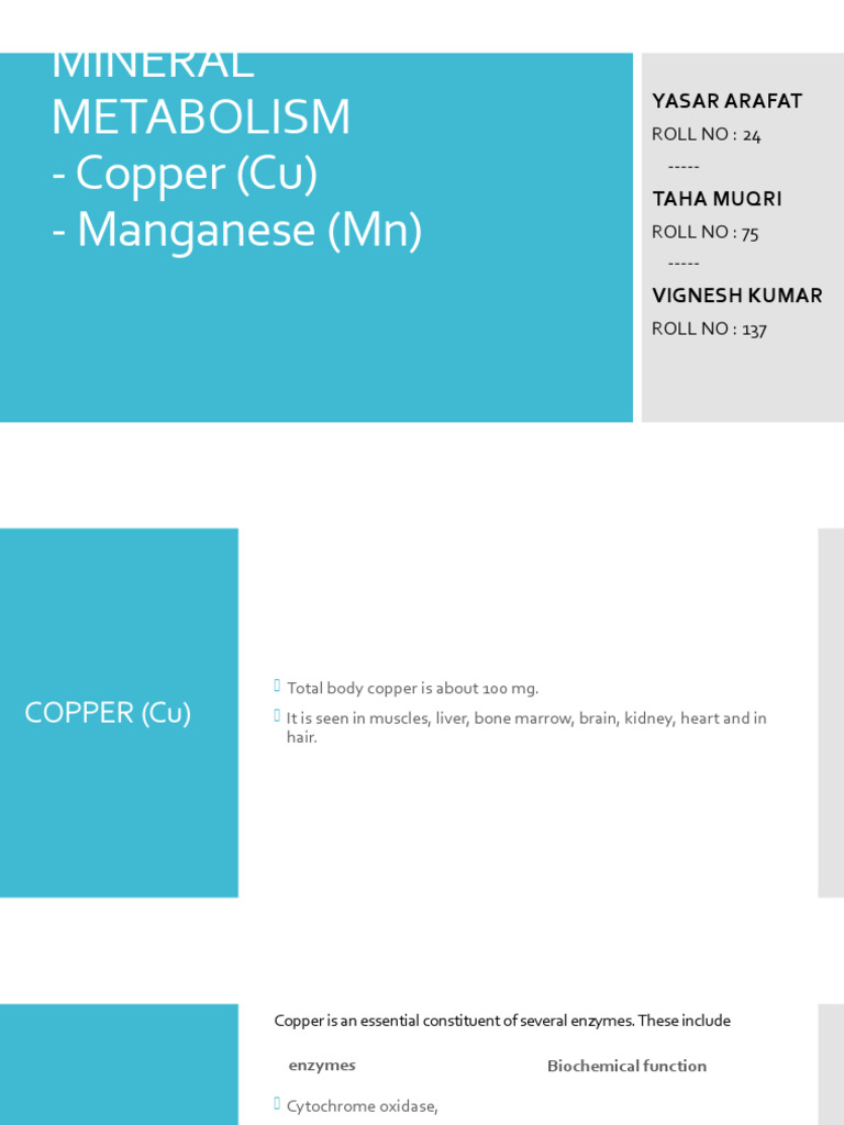 Mineral Metabolism | PDF | Manganese | Copper