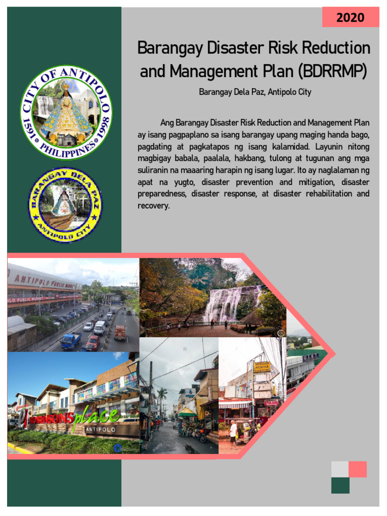 Dela Paz CBDRR | PDF