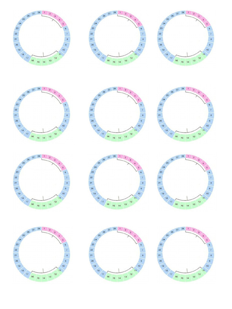 Menstrual Cycle Wheel Blank A3 | PDF