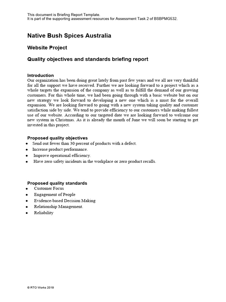 Briefing Report Template | PDF