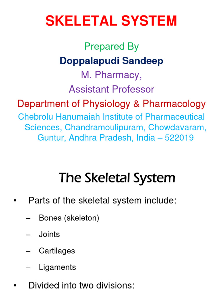 Skeletal System | PDF