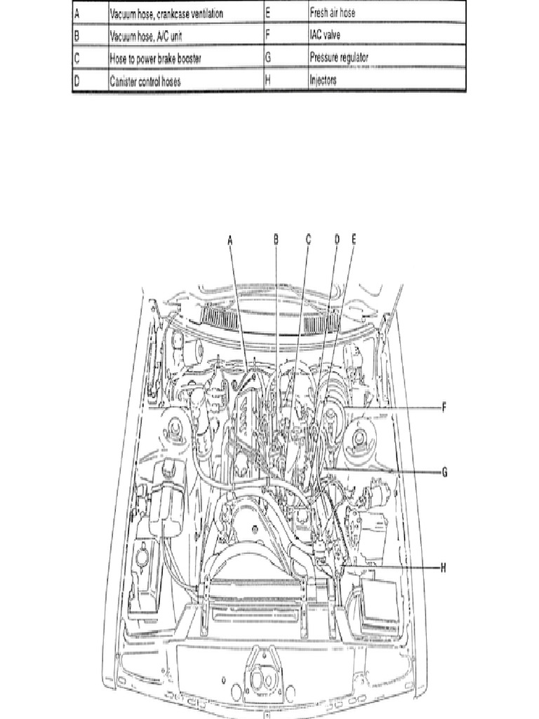 Vacuum Diagram | PDF