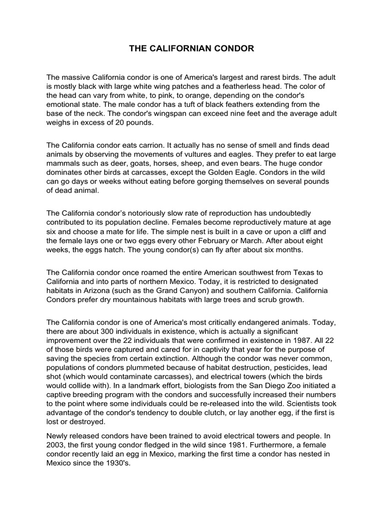 CALIFORNIA CONDOR Reading Comprehension | PDF